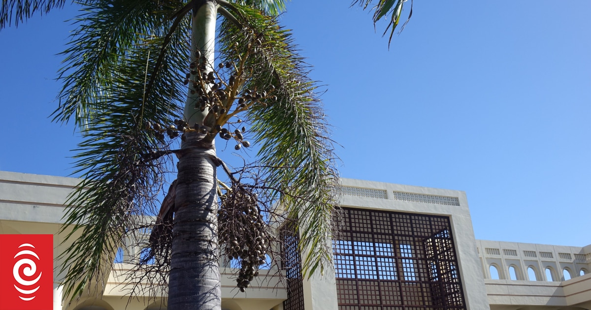 High-profile court case into death of Samoan MP's son under way | RNZ News