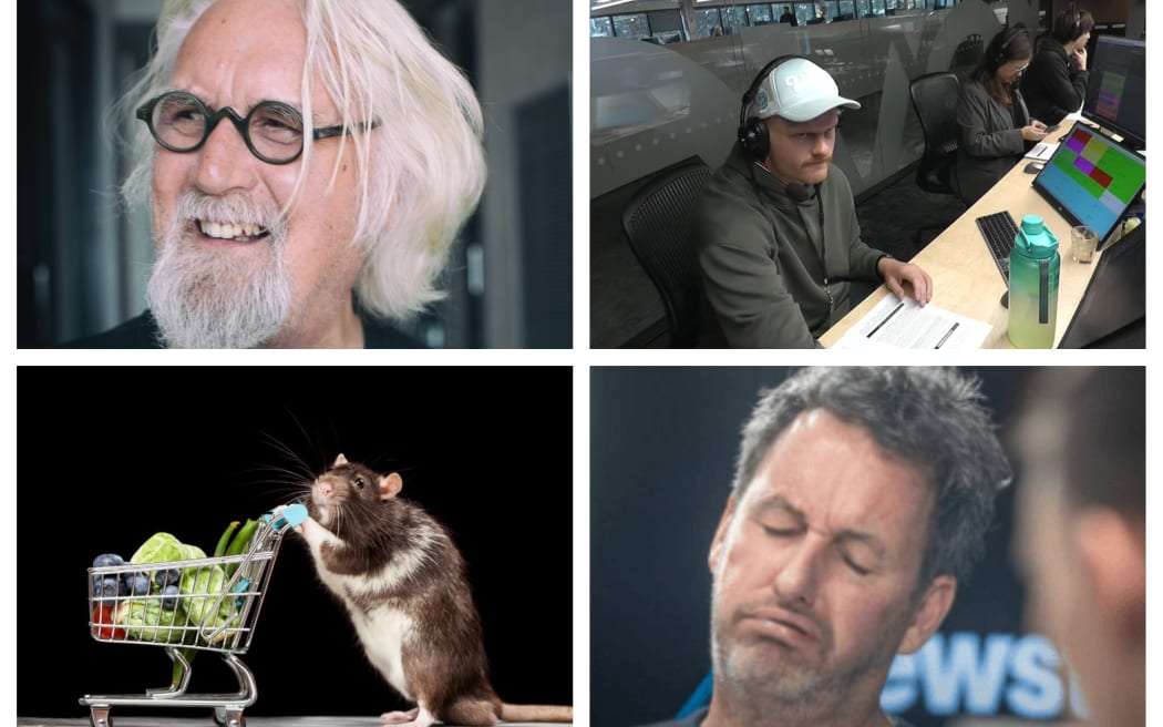 Mediawatch: The good, bad and weird media in 2024 | RNZ News