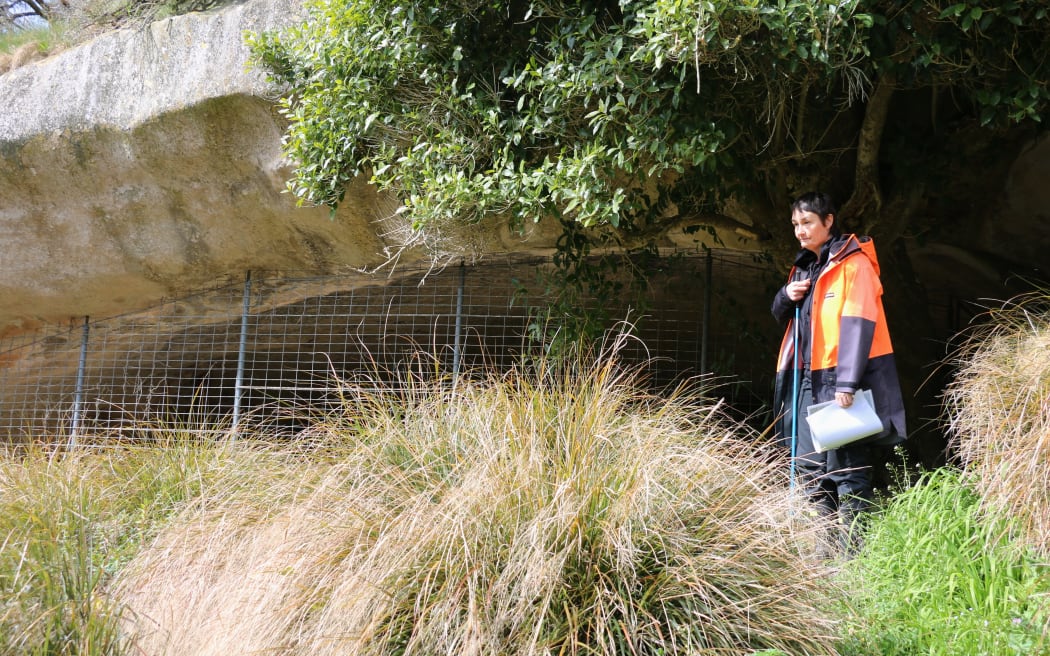 Raising rock art awareness for future kaitiaki | RNZ