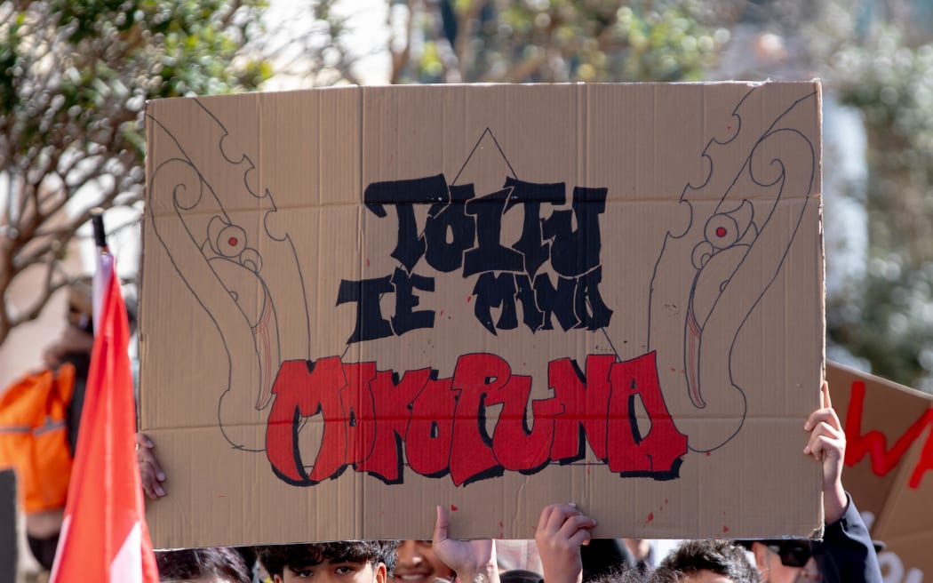 'What needs protecting?': Researcher questions purpose of English ...