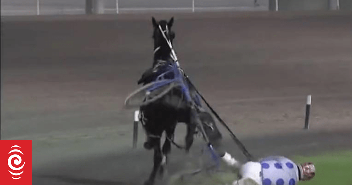 Harness racer Crystal Hackett bounces back from harrowing ordeal at ...
