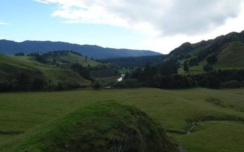 Court hears Forest & Bird appeal over dam | RNZ