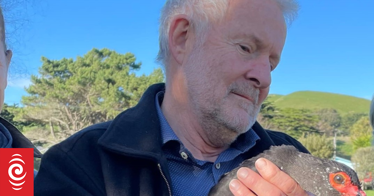 Wellington Bird Rehabilitation Trust founder Craig Shepherd keeps ...