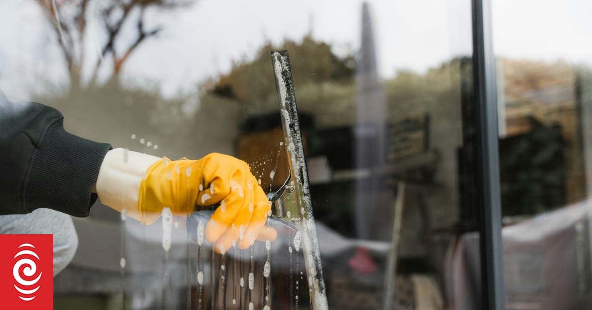 What are the best ways to clean windows and fly screens? | RNZ