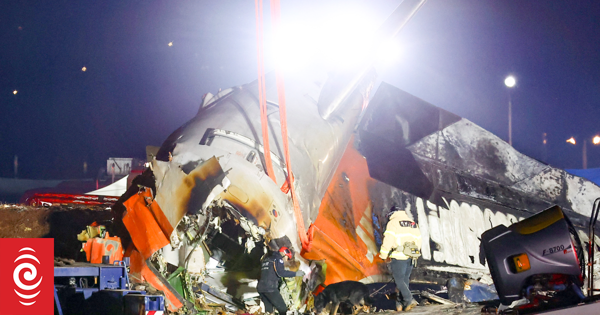 Duck DNA in both engines of Jeju Air plane that crashed, report says ...
