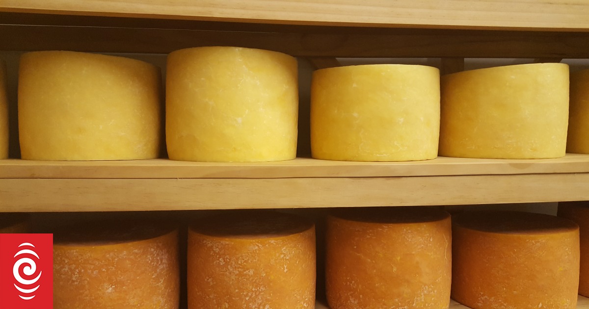 The history and flavours of cheese with expert Juliet Harbutt | RNZ