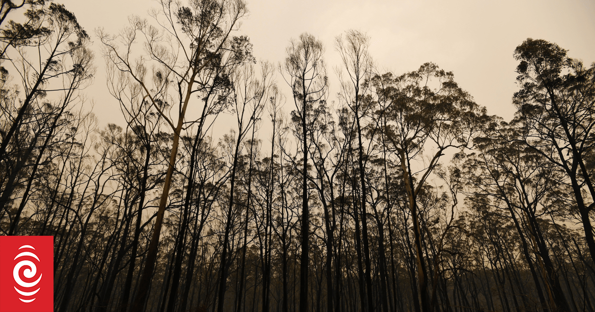 Total fire ban declared in Australian state of Victoria amid 'extreme ...