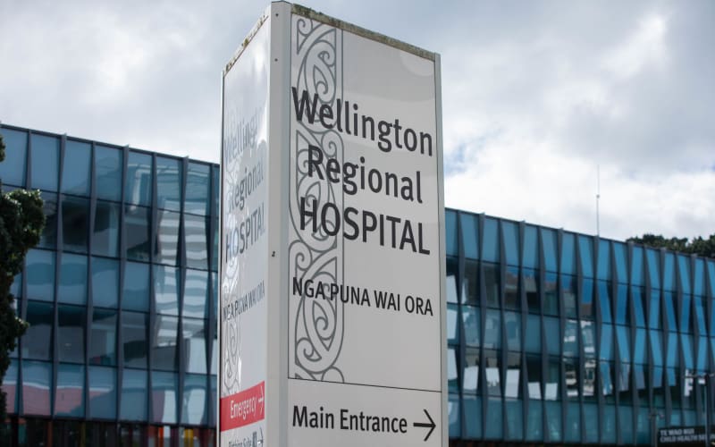 IT system at Wellington Hospital a 'constant risk' to patient safety ...