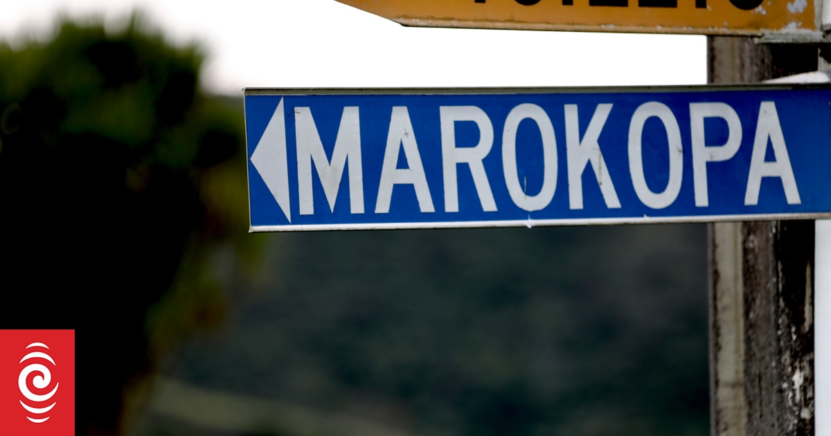 Missing in Marokopa: An expert's tips on how to find Tom Phillips and ...