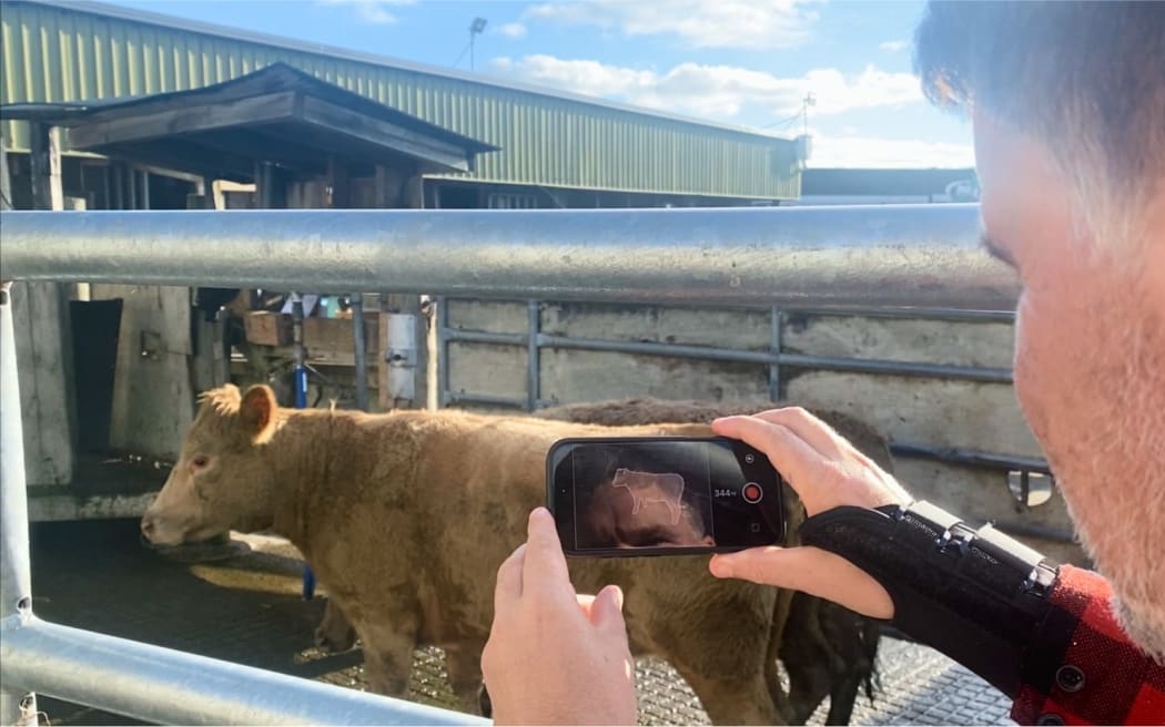 Scanabull technology among Fieldays Innovation Award winners | RNZ News