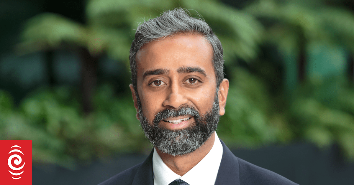 Air NZ appoints Nikhil Ravishankar as new chief executive | RNZ News