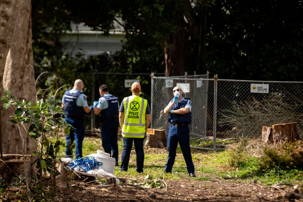 Protesters turn out before dawn to save 100-year-old native trees | RNZ ...