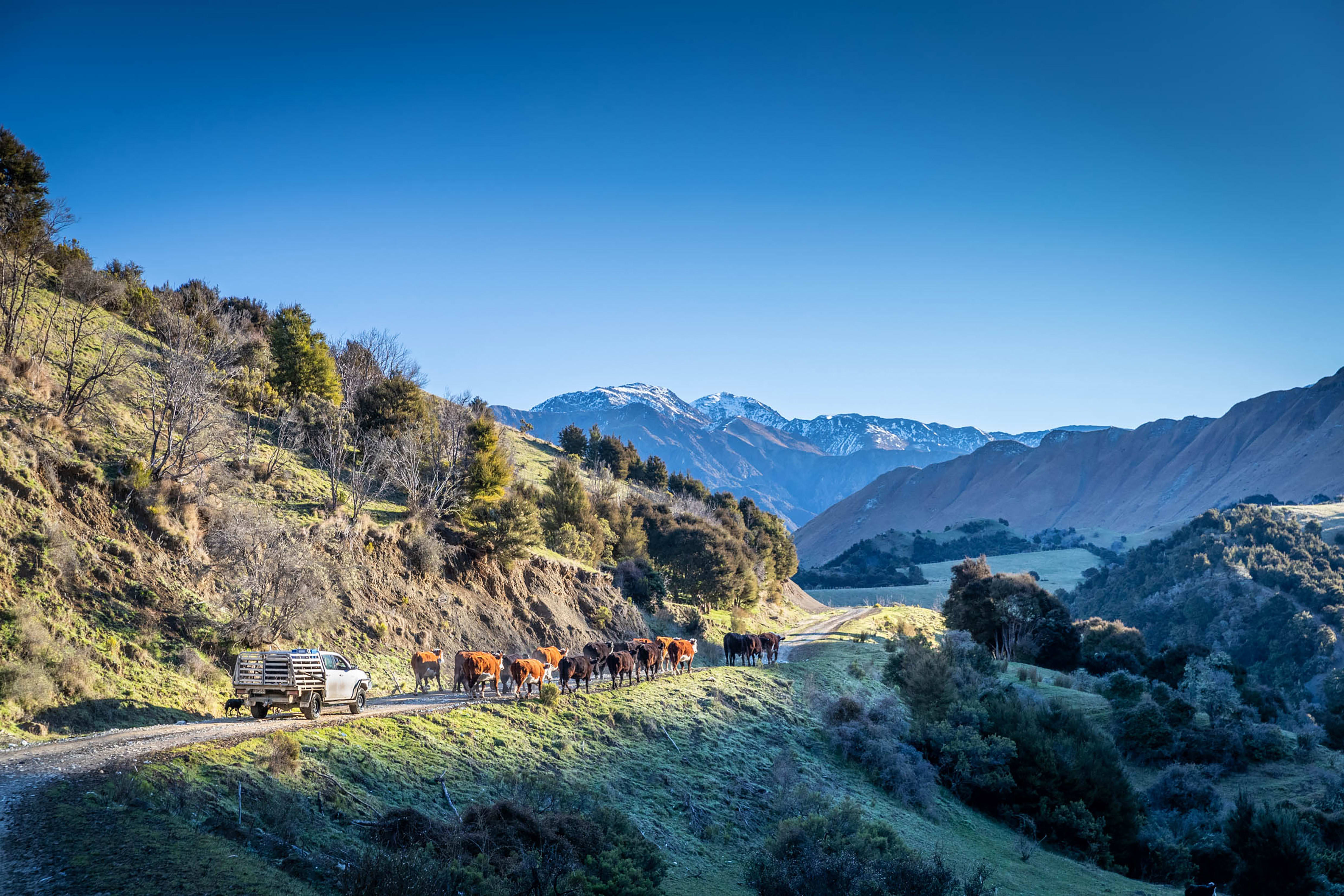 The might and reach of Waiau Toa, the Clarence River | RNZ