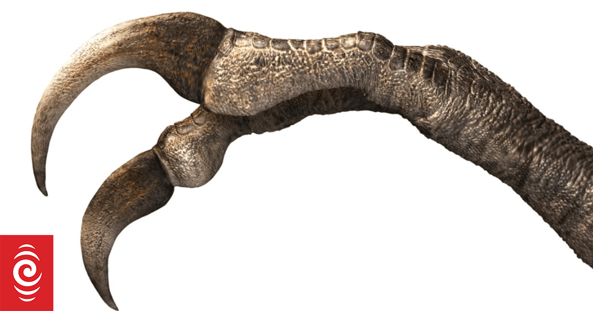 Largest fully preserved dinosaur claw unearthed in Mongolia’s Gobi ...