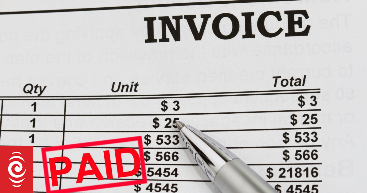 Fraudster's business partner shredded fake invoices | RNZ News