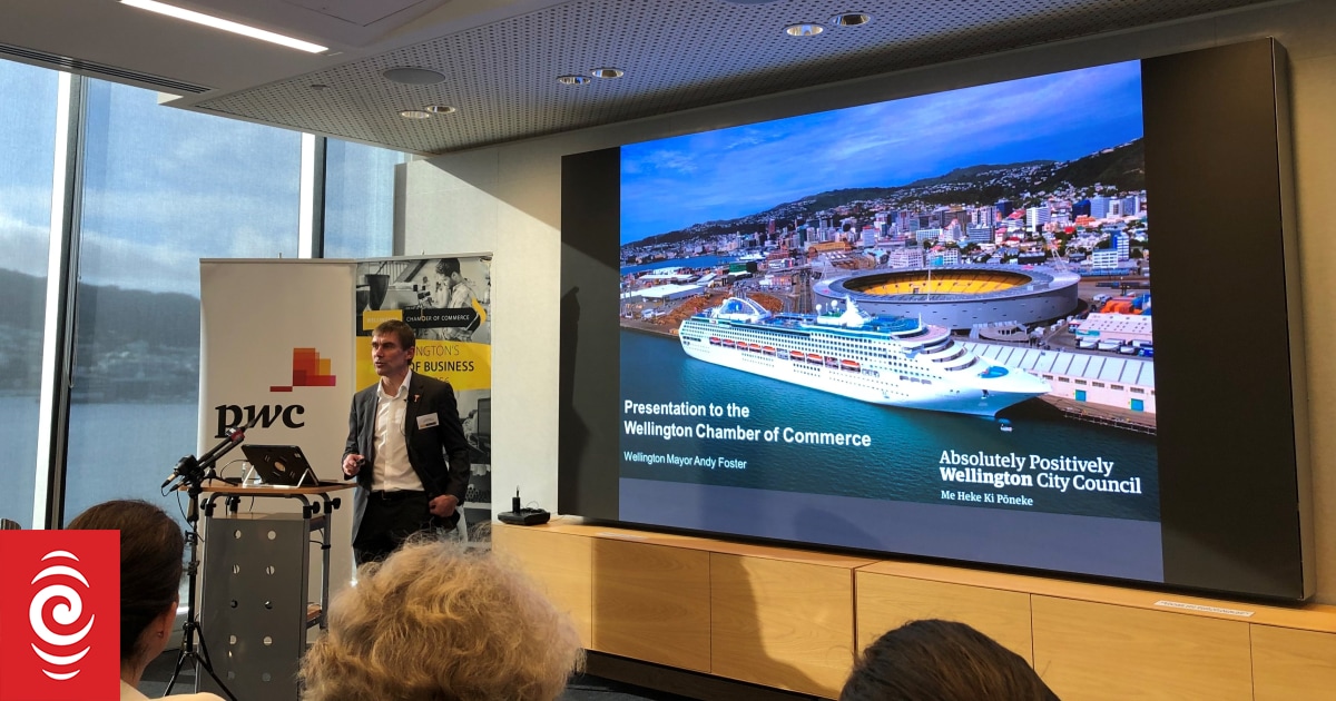Wellington Mayor Andy Foster outlines three year vision for capital ...