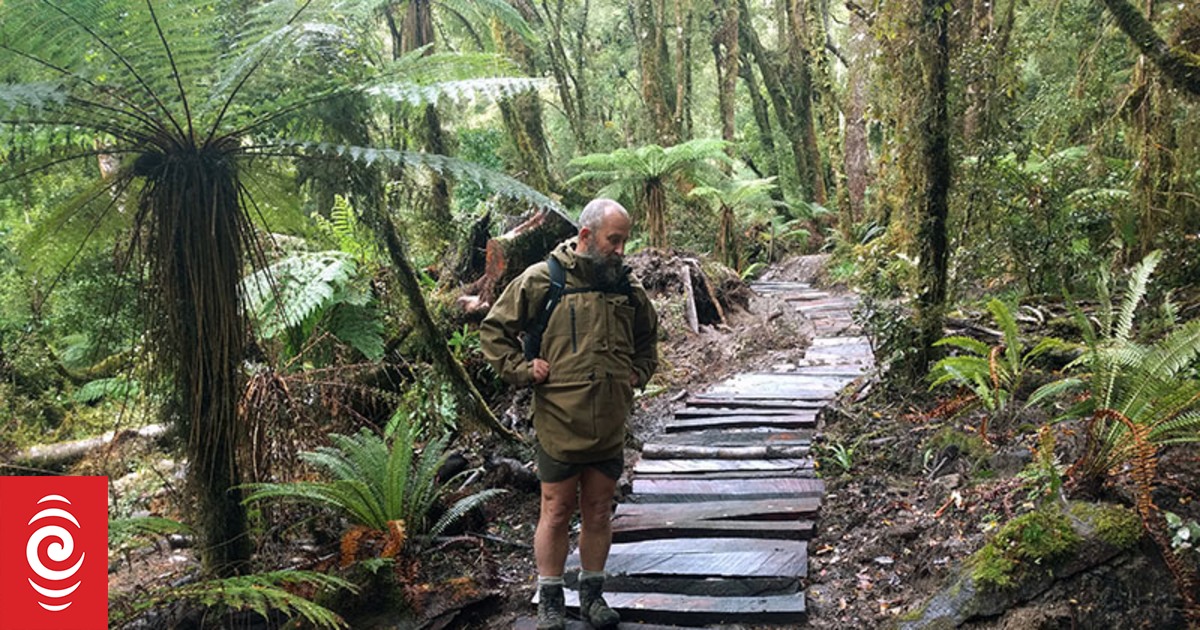 Great Walks, huts and campsites in great demand | RNZ News