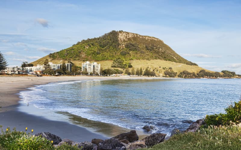 Upgrades, repairs close some tracks on Mount Maunganui | RNZ