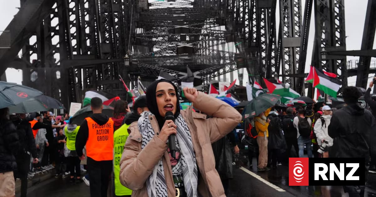 Sydney pro-Palestinian protest organisers deny police fears of ...