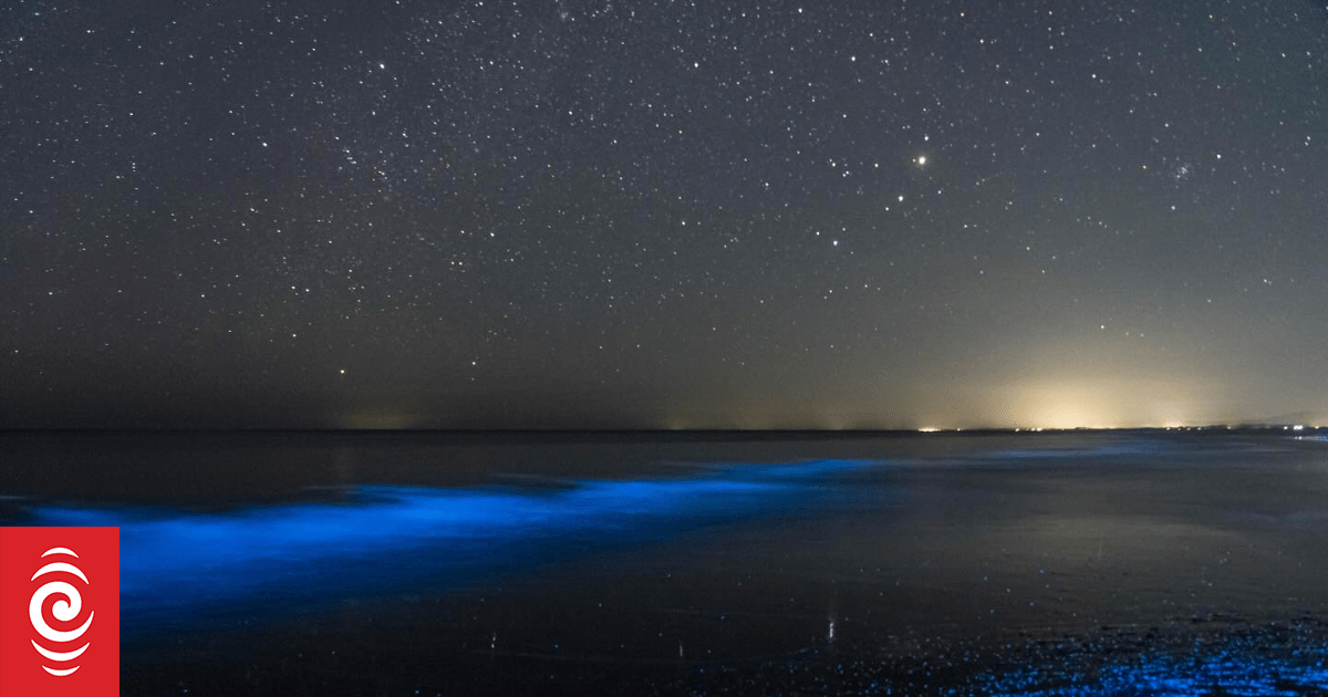 Bioluminescence resembles 'hundreds of blue dimmed LED lights in waves ...