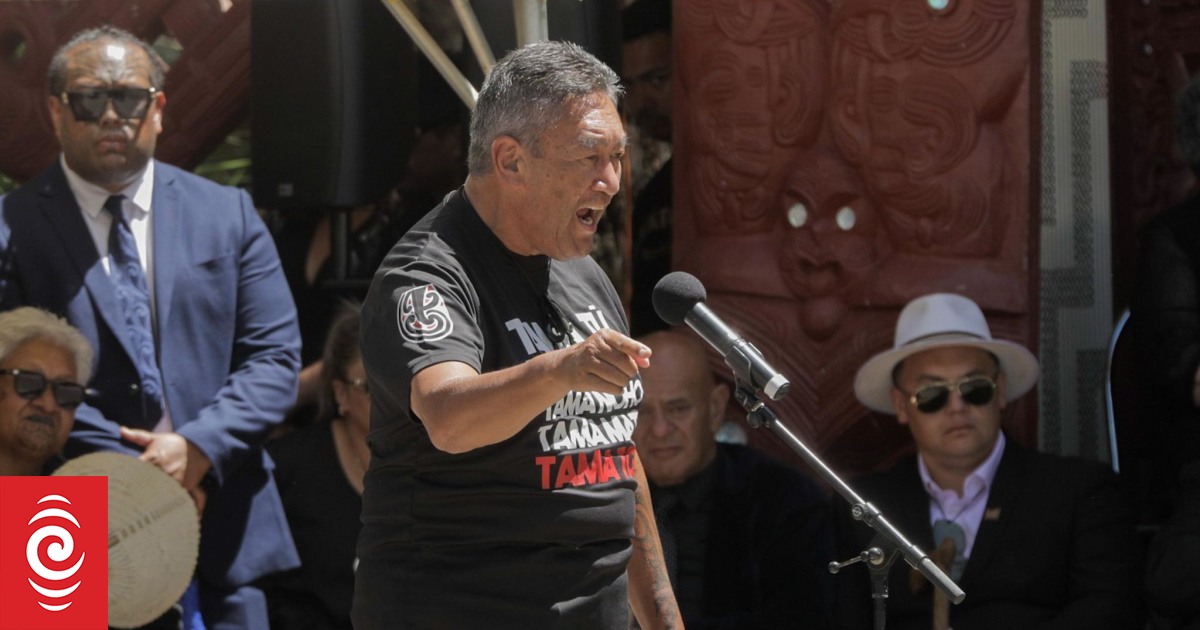 ACT's Treaty Principles bill 'going down toilet' says activist and ...