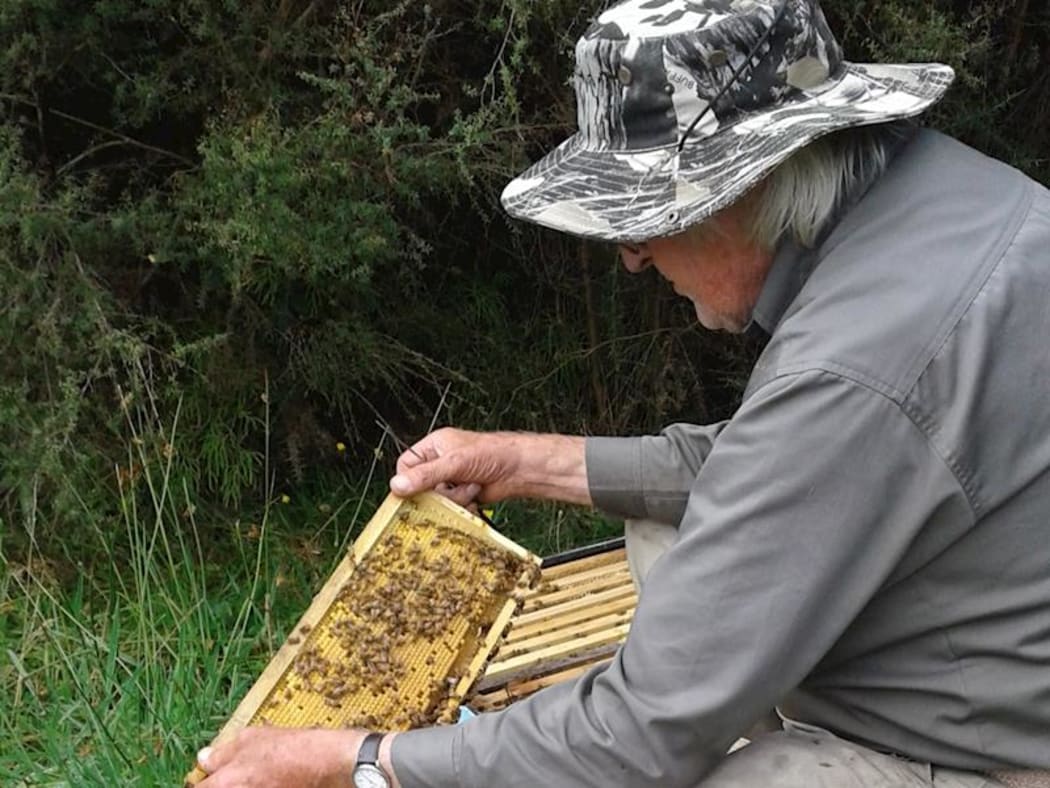 Funds run dry for beekeeper working to eliminate deadly parasite | RNZ News