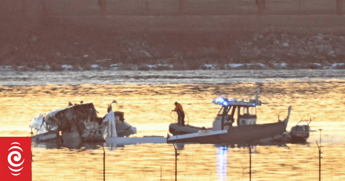 Potomac crash: Trump blames diversity hires for lowering air safety ...