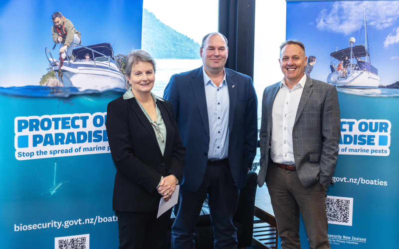 Recreational boaties asked to stay vigilant for marine pests | RNZ