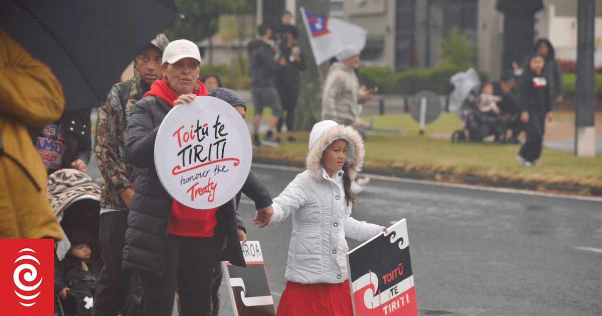 Hīkoi mō te Tiriti: Wellington commuters warned to expect hours-long ...