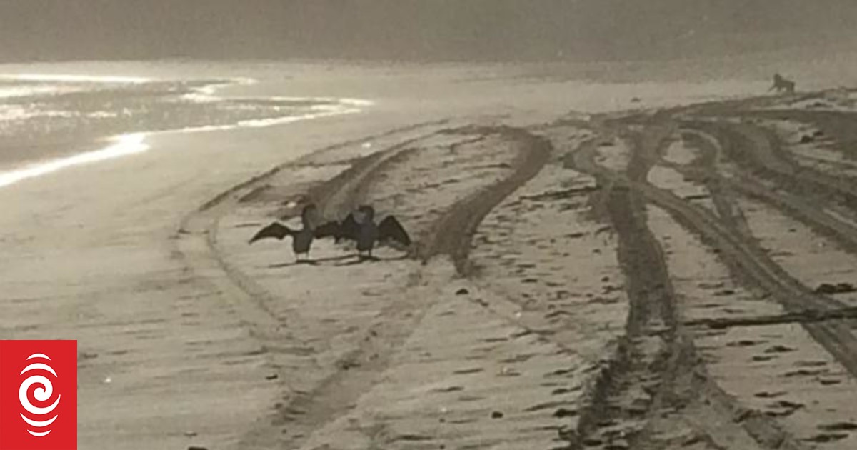 Around the motu: Susan Botting in Northland | RNZ