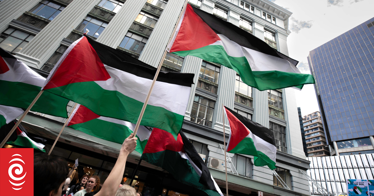 Whanganui council calls for immediate ceasefire in Gaza | RNZ News