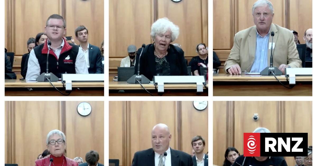 Next group of public submissions on Treaty Principles Bill announced | RNZ