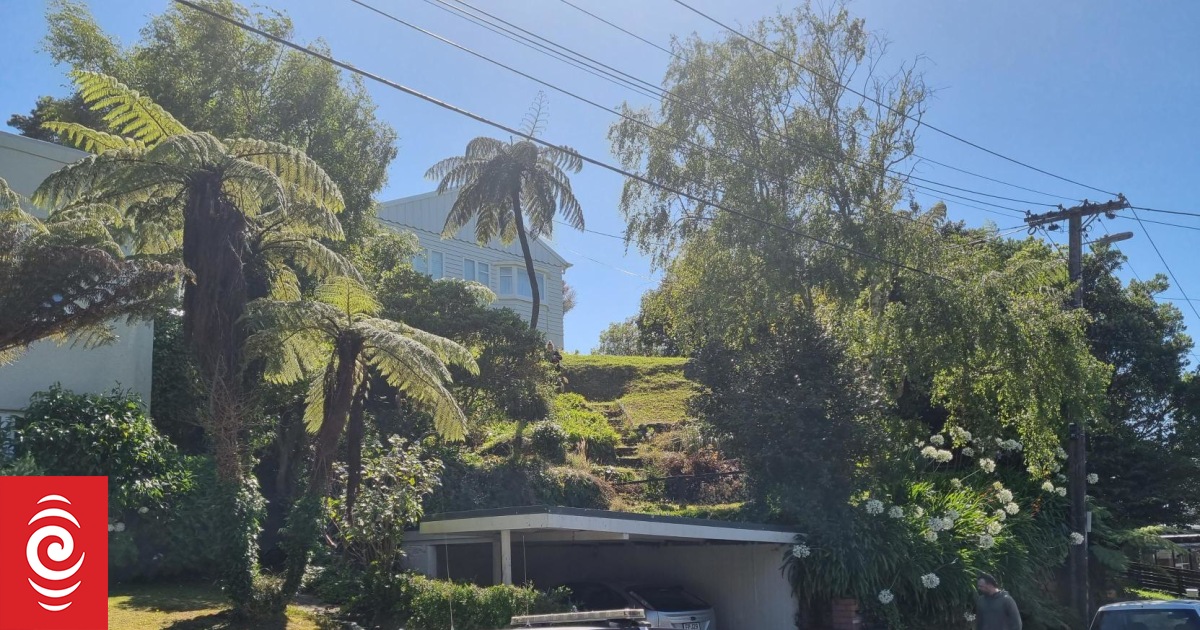 Paraparaumu teacher charged with murder of Helen Gregory | RNZ