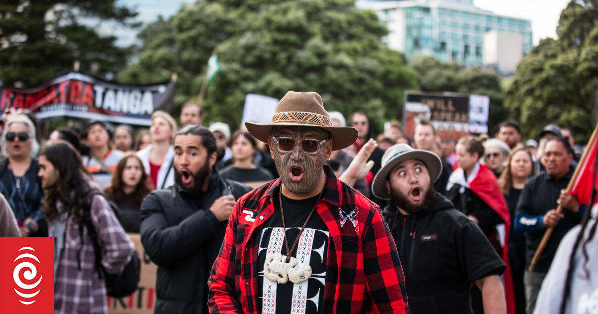 Rawiri Waititi on national protests | RNZ
