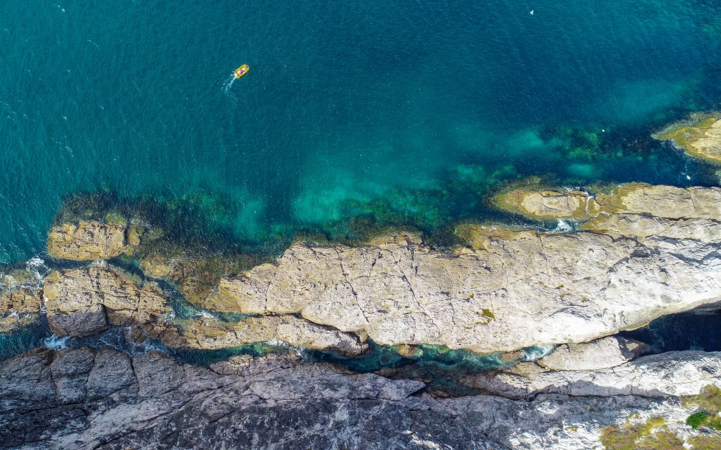 Around the motu : John Freer from the Coromandel | RNZ