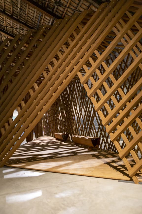 Learning from Trees: transforming timber culture in Aotearoa | A ...