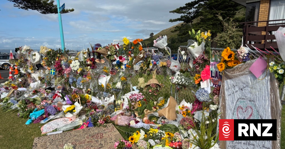 Tauranga mayor says it's unlikely Mt Maunganui landslide area will ...