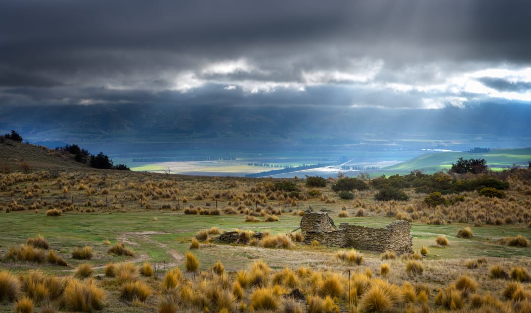 Old gold may create a rush | RNZ News