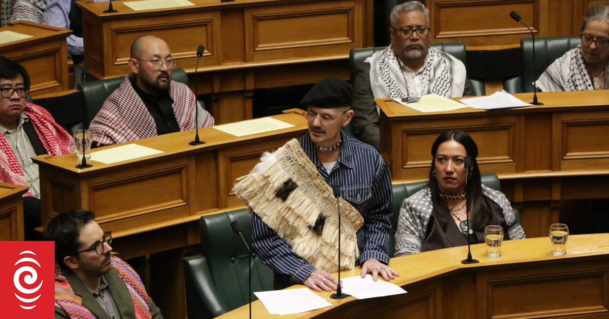 Green MP Benjamin Doyle farewells 'hostile and toxic' Parliament | RNZ News