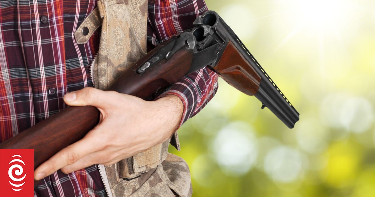Consultation begins over proposed firearms licensing fees hike | RNZ News