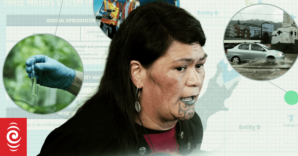 Three waters Part II: What you need to know | RNZ News