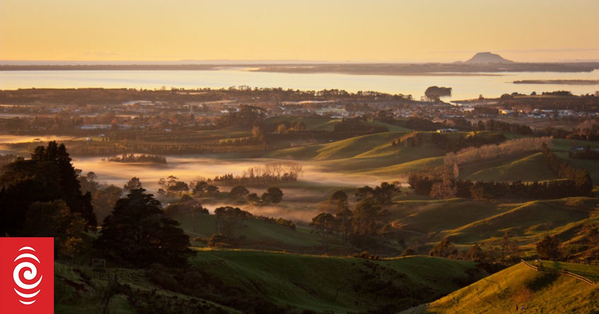 Western BOP Council votes for Māori ward | RNZ News