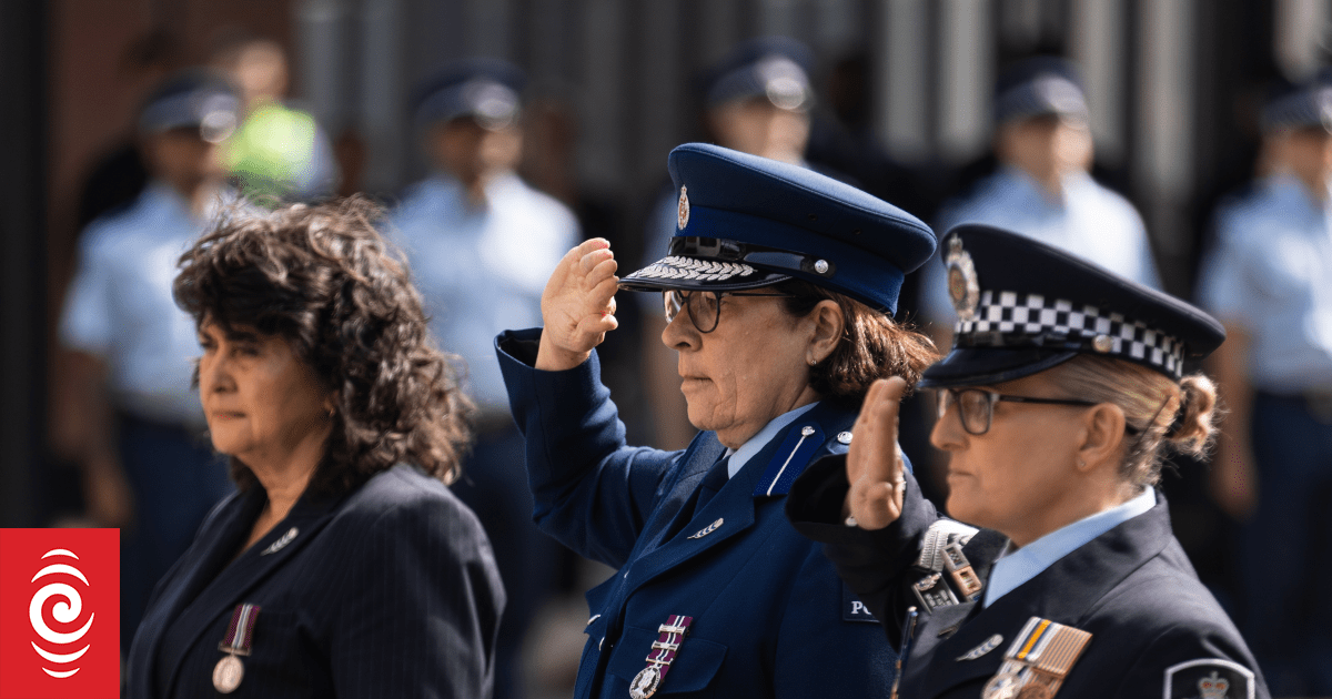 'There are too many plaques on our memorial wall' - Fallen police ...