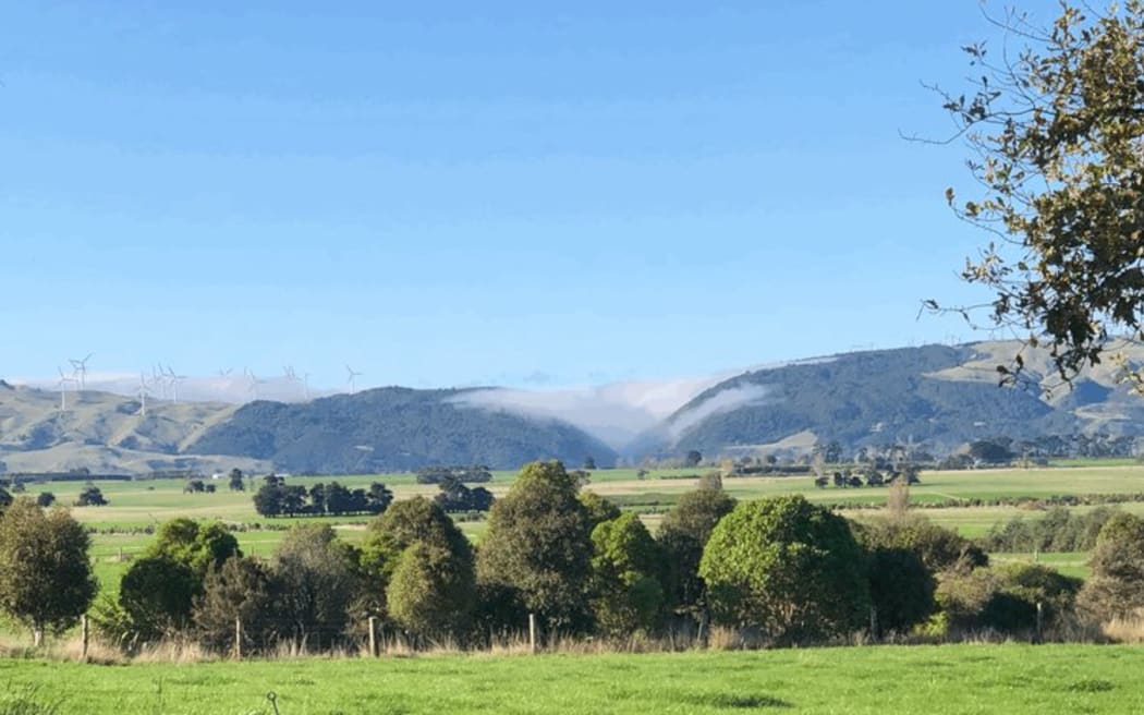 Responsible Dairying Award for farmers creating wetlands, planting ...