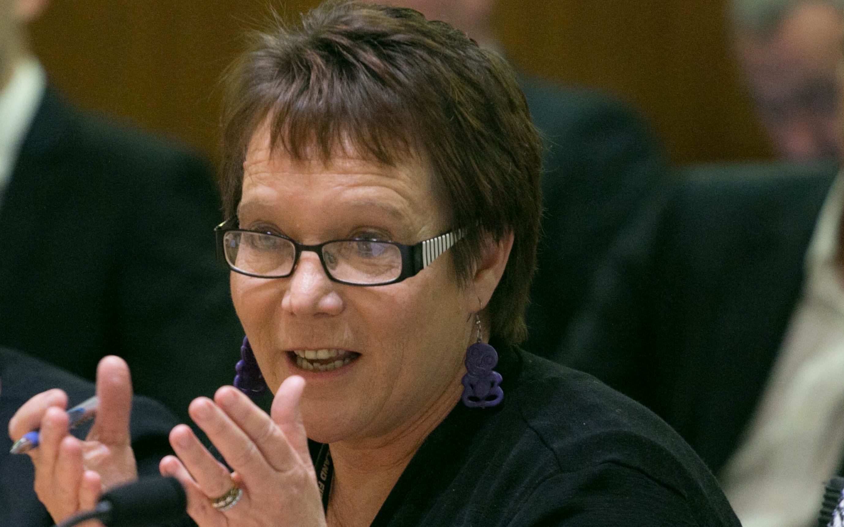 We know Winston, but who're NZ First's other MPs? | RNZ News