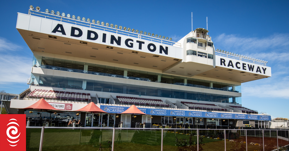 Crowds flock to Addington Raceway for New Zealand Cup in Christchurch | RNZ