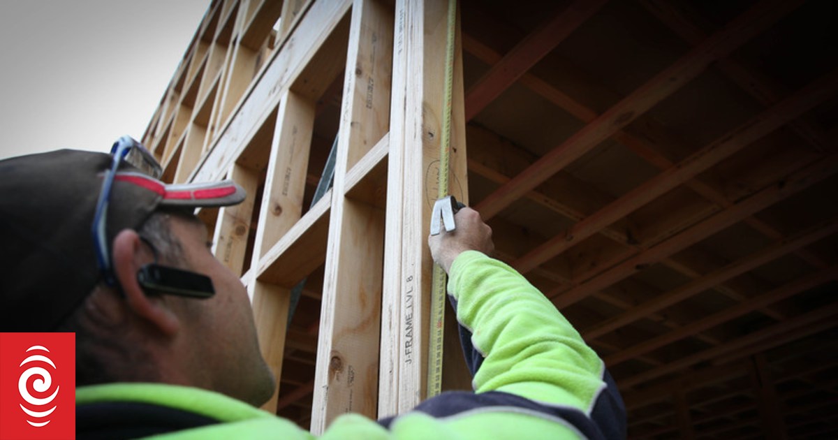 Iwi partnership leads to jobs | RNZ News