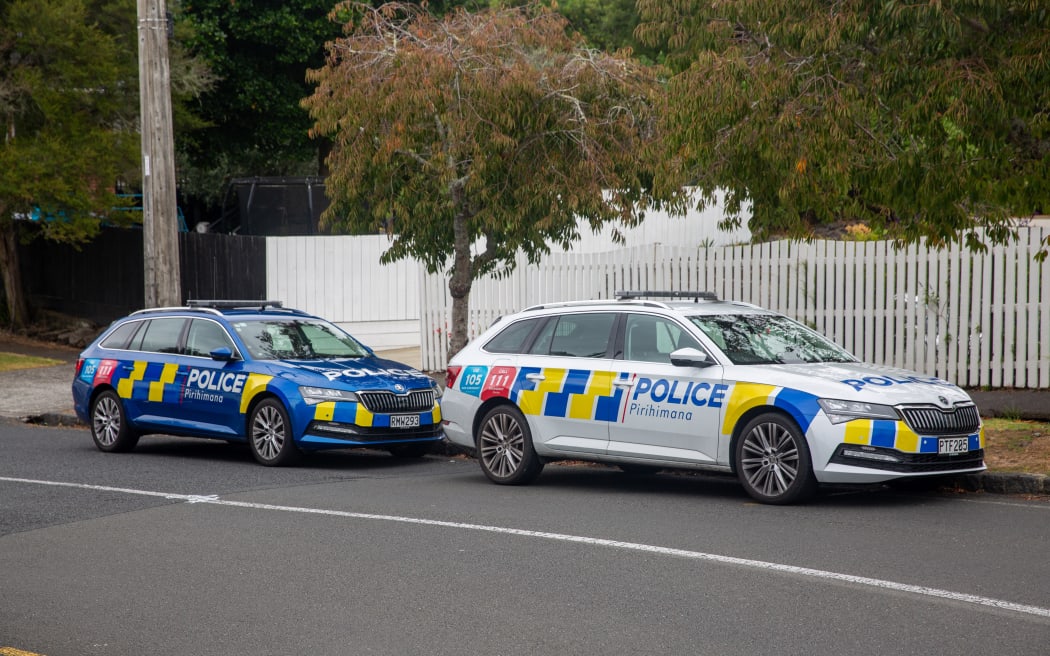 Death on road in Auckland's Mt Albert not suspicious, police say | RNZ News