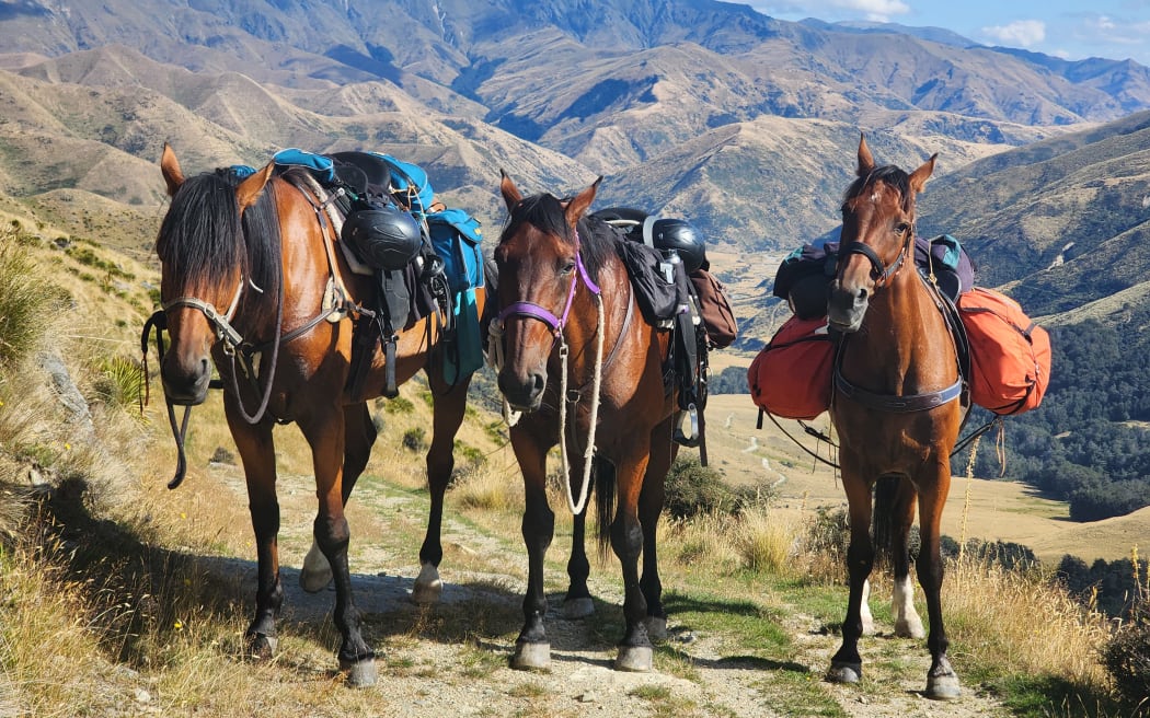 'No turning back' - horsetrekking from Bluff to Picton | RNZ