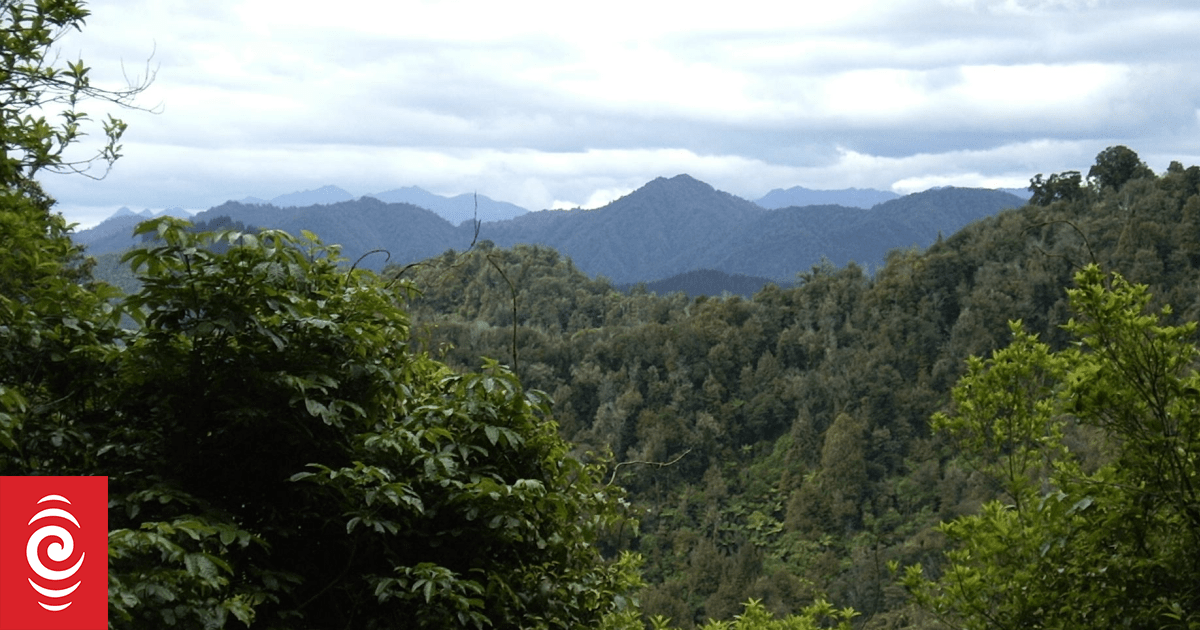 Man charged over hunter's death in Te Urewera Ranges | RNZ News